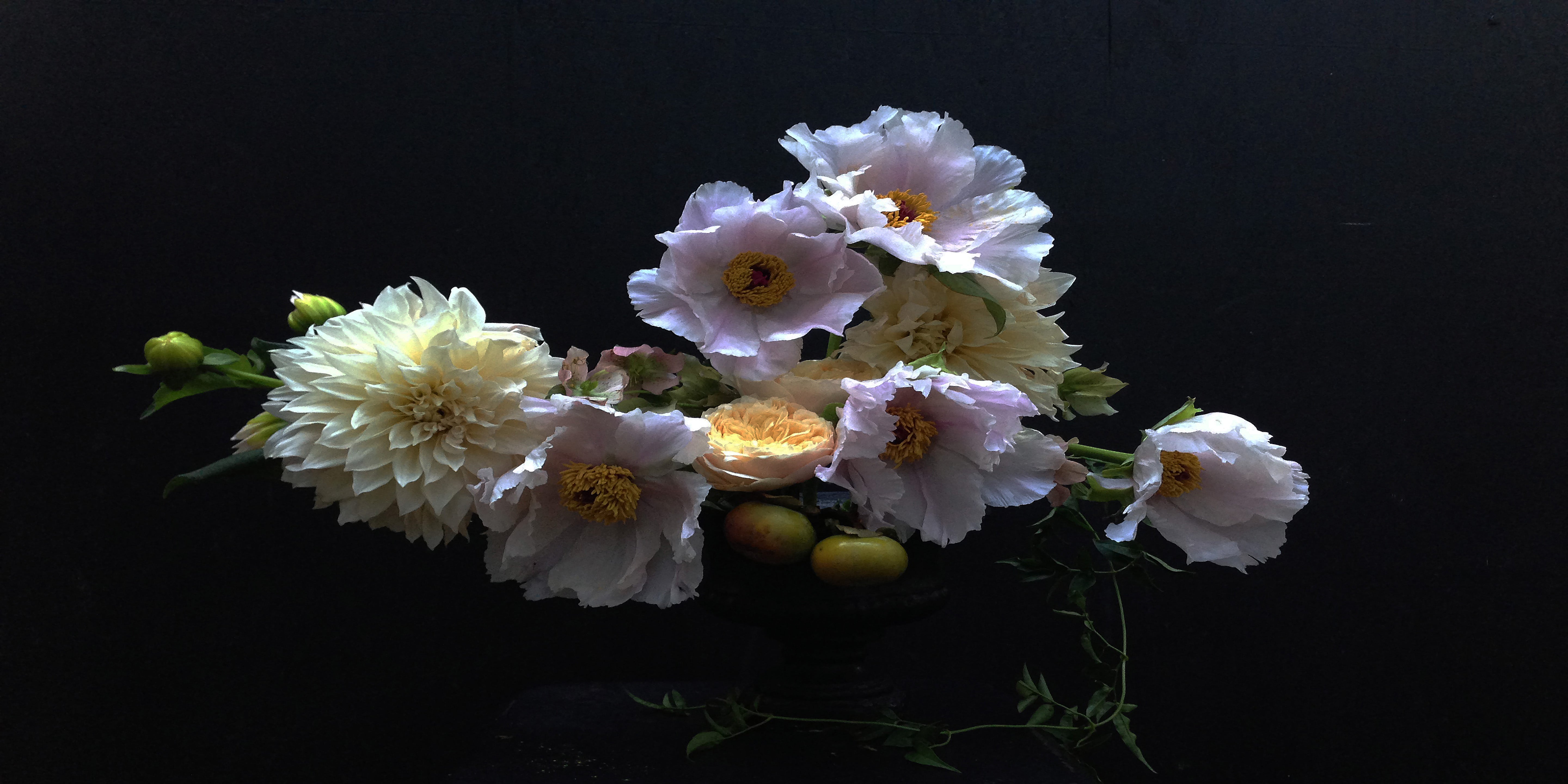 Constance Dark Floral Print – Ashley Woodson Bailey